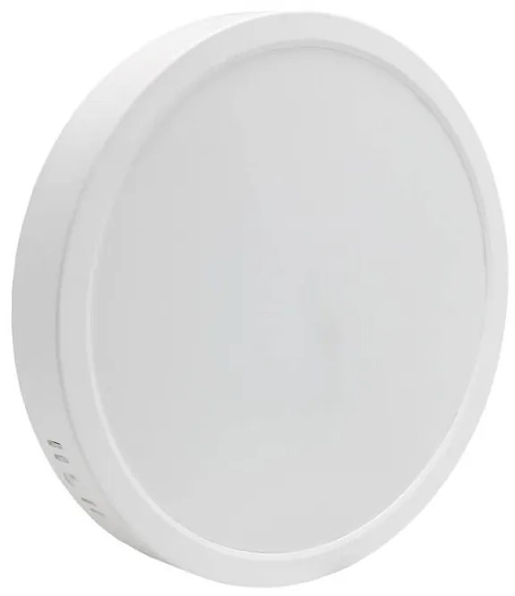Kulaté stropní LED svítidlo ALGINE 24W