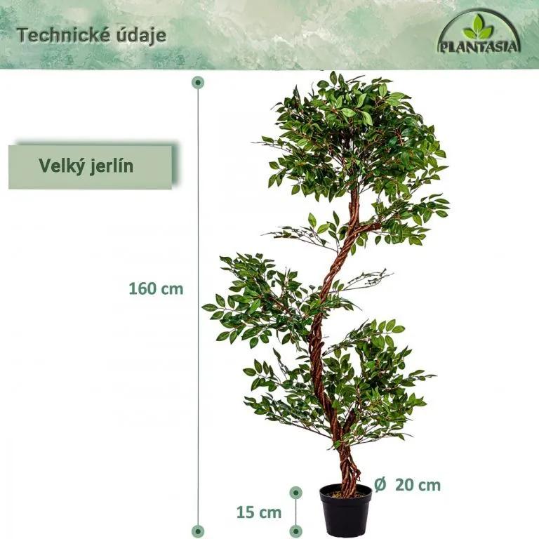 81743  PLANTASIA Umělý strom jerlín, 160 cm