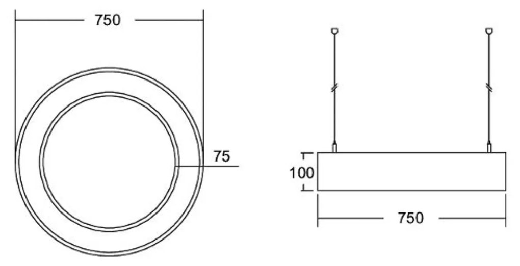 BRUMBERG Biro Circle Ring direct 75cm 50W on/off stříbrná 840