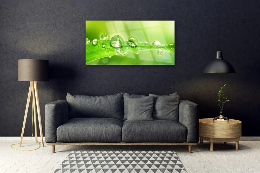 akrylový obraz List Kapky Rosa Rostlina 100x50 cm