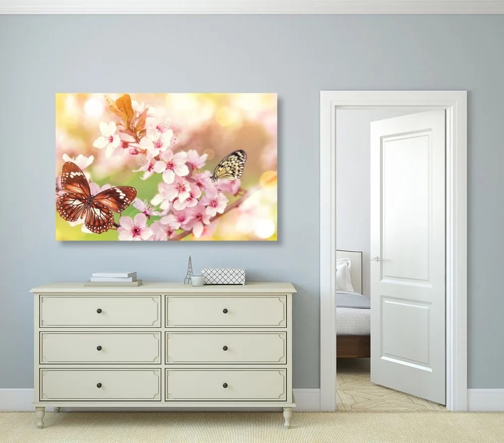 Obraz jarní květiny s exotickými motýly - 60x40 cm
