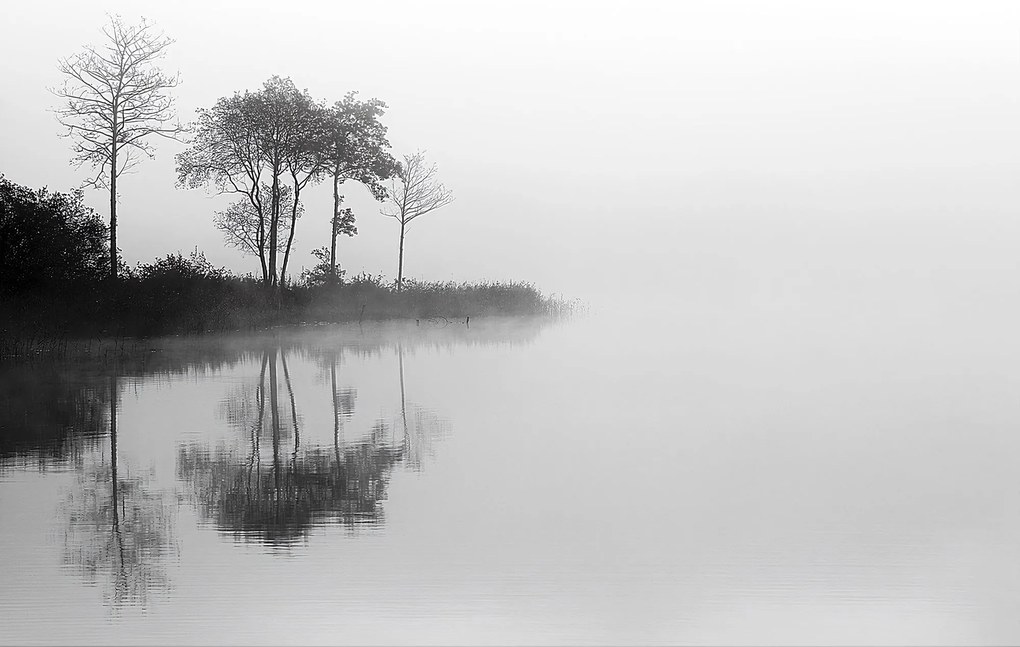 Obraz na plátně By the Lake I