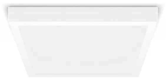 Philips - LED Stropní svítidlo MAGNEOS LED/20W/230V 2700K bílá