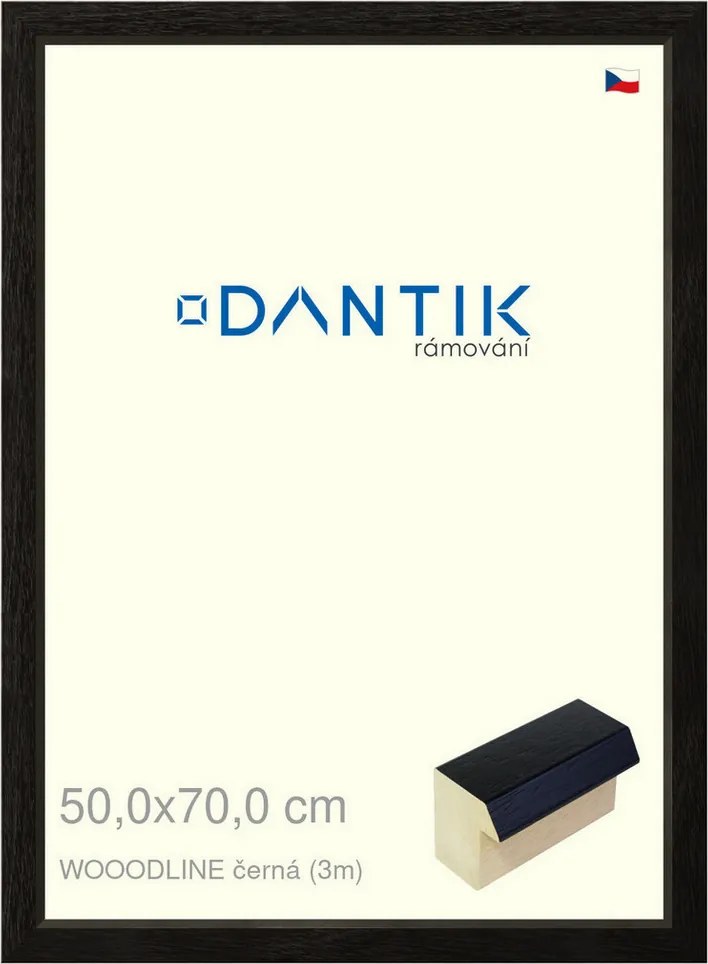 DANTIK rámeček 50x70 | WOODLINE černá (Plexi Čiré)