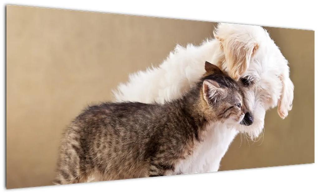 Kotě a štěně - obraz (100x40cm)