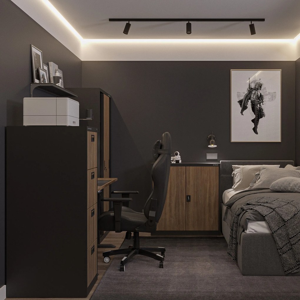 Nízká skříň na spisy a dokumenty, antracit/ořech, 900x930x400 mm: BEATA Eco Design