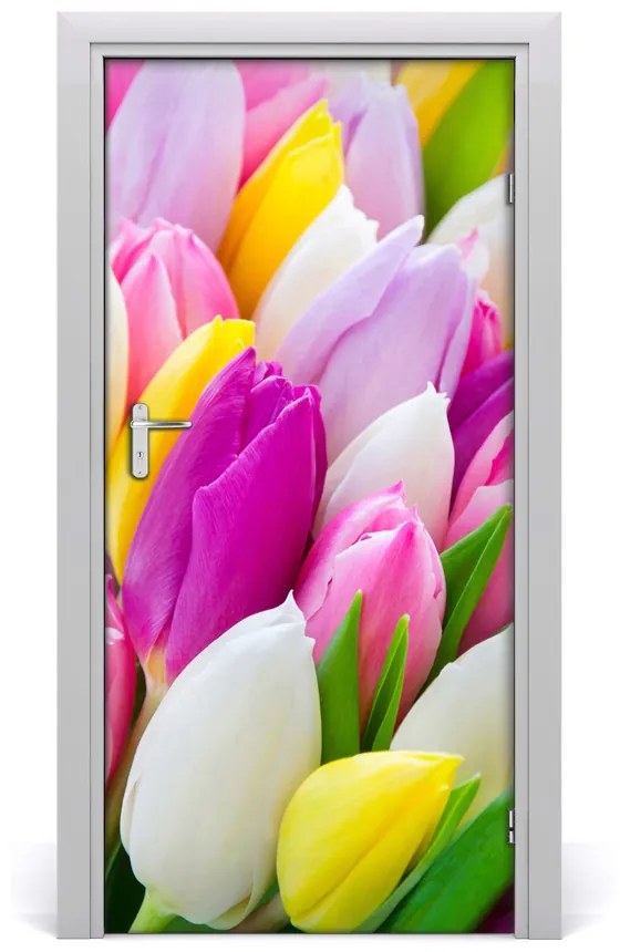 Samolepící fototapeta na dveře barevné tulipány 85x205 cm