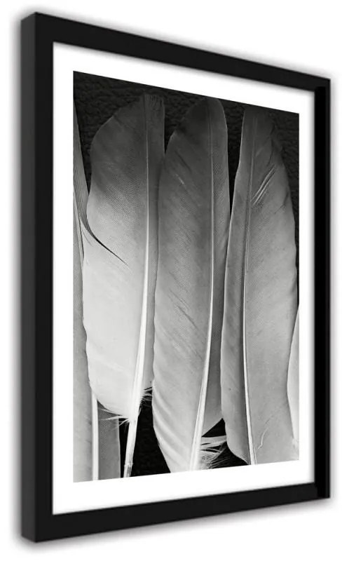 CARO Obraz v rámu - Feathers In Black And White 70x100 cm Černá