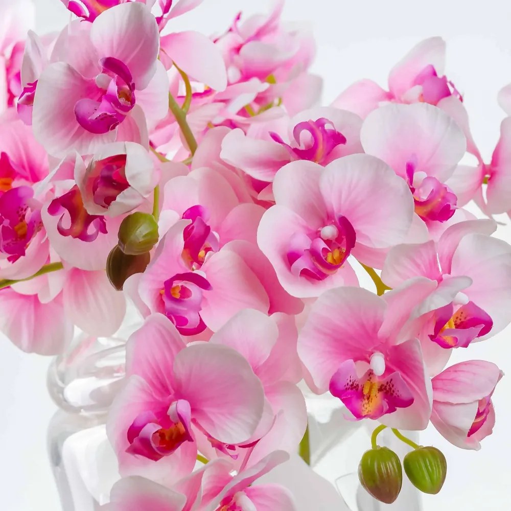 Smyslná orchidea NATÁLIE