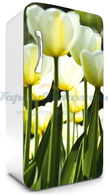 Samolepicí fototapeta na ledničku Tulips FR120-026 / Fototapety na lednice Dimex (65 x 120 cm)