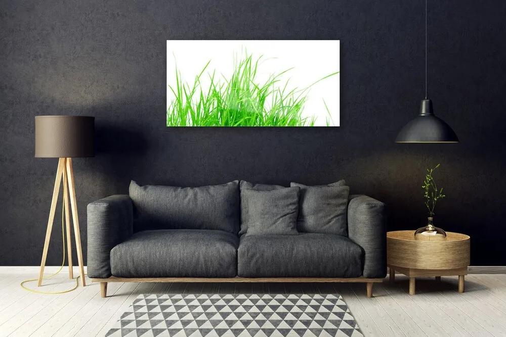 akrylový obraz Tráva 100x50 cm
