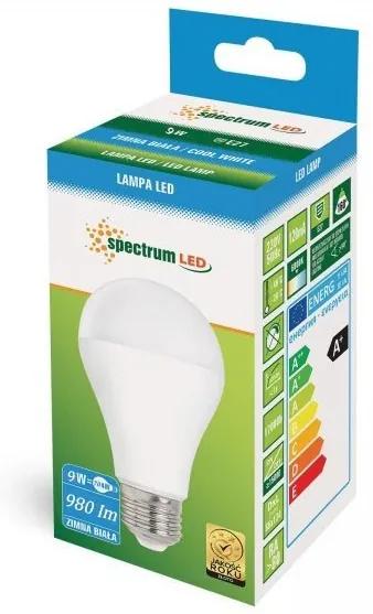 LED žárovka GLS 9W E27 230V studená bílá