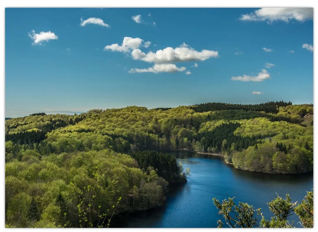 Obraz - Jezero v lesích (70x50 cm)