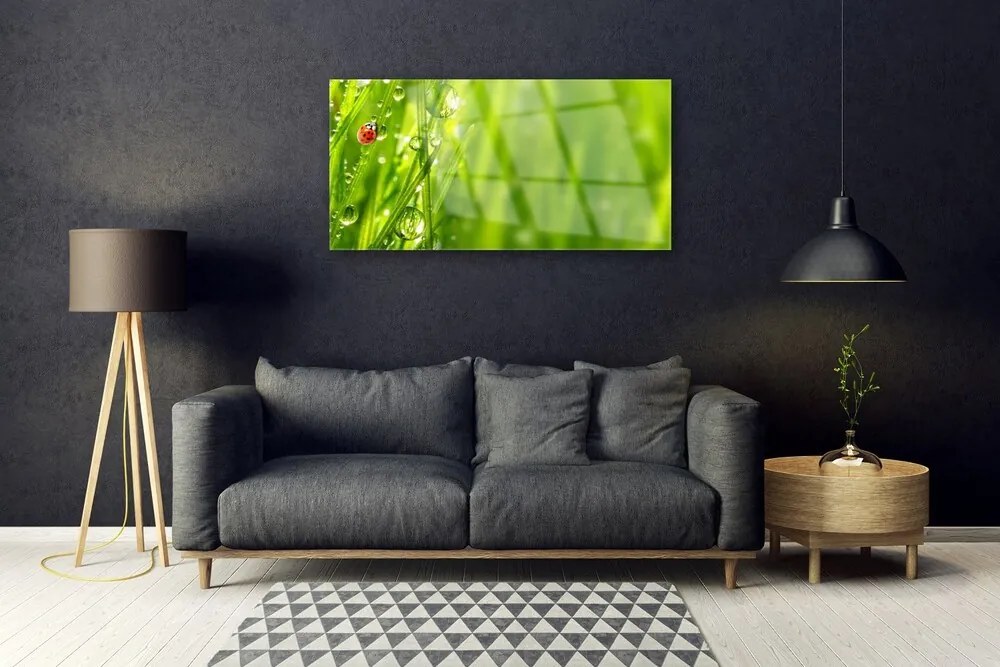 Plexisklo-obraz Tráva Beruška Příroda 100x50 cm