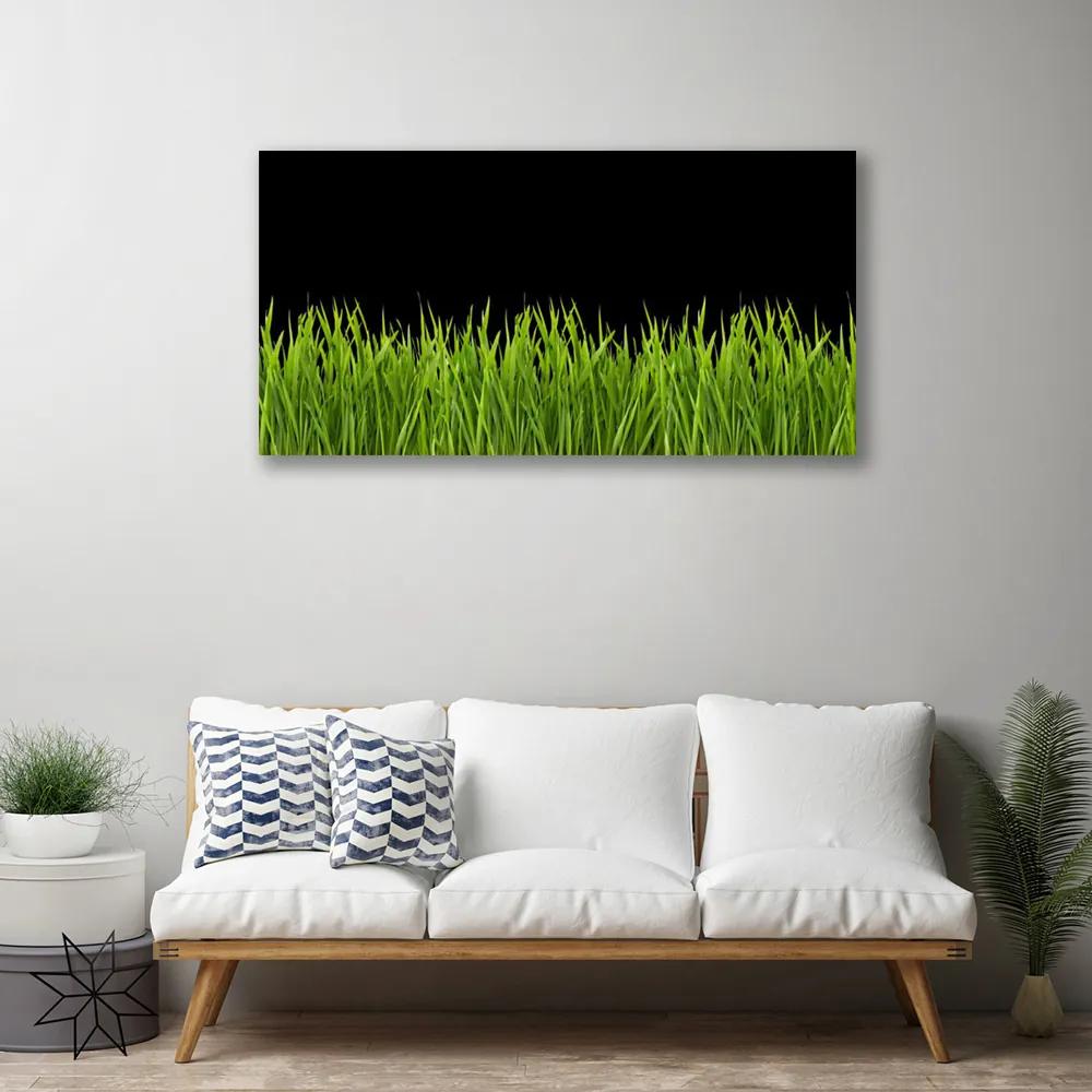 Obraz na plátně Zelená Tráva Příroda 100x50 cm