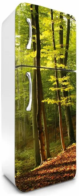 Fototapeta na lednici Forest 65 x 180 cm FR180-028