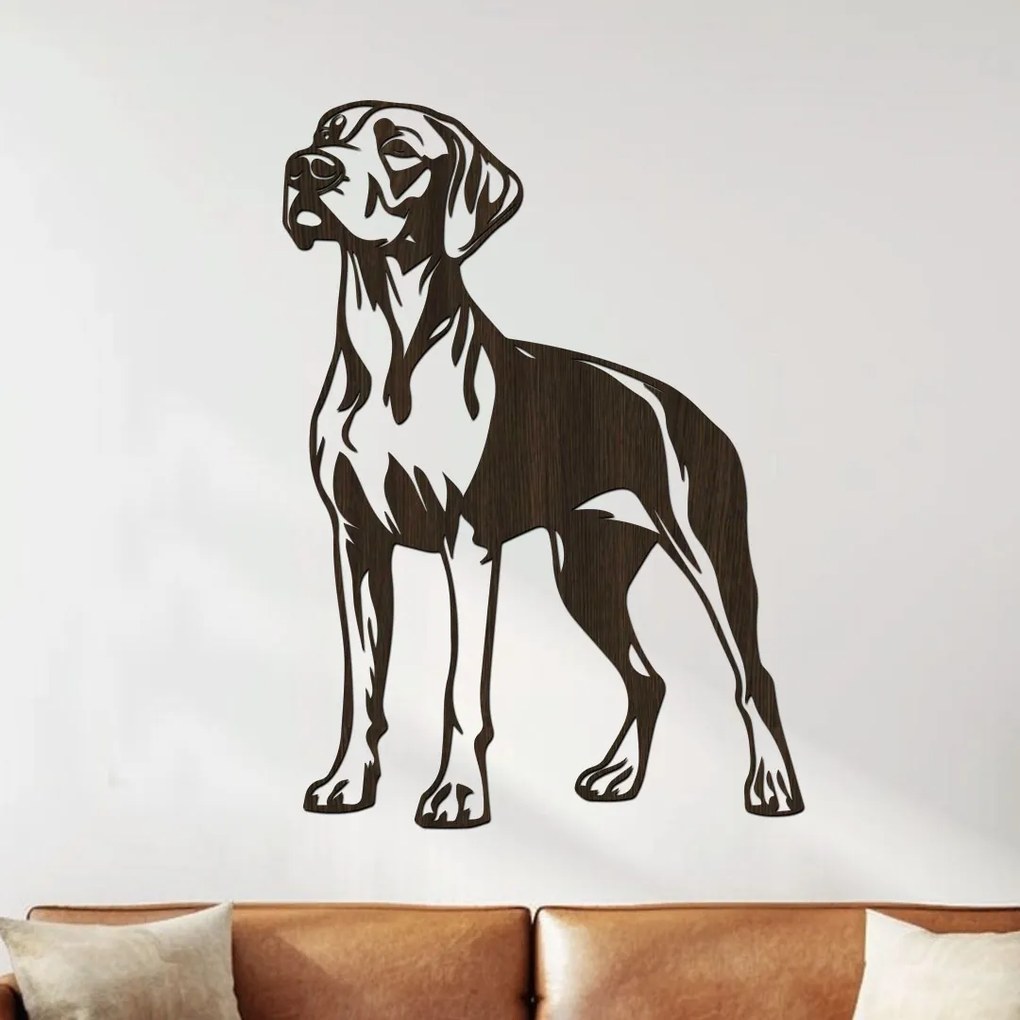 dřevo života Dřevěný obraz Anglický Pointer Zvolte rozměr (cm): 43x60, Zvolte barvu dekoru: Ořech