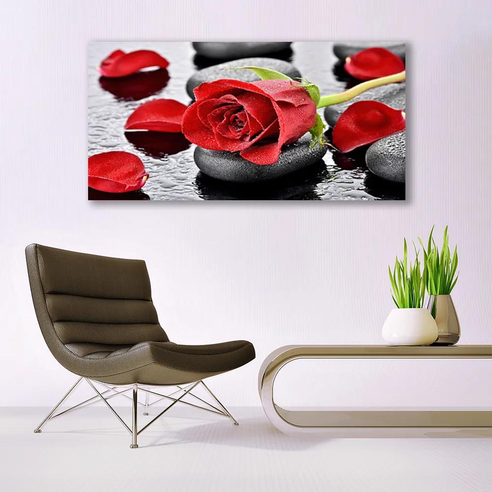 Plexisklo-obraz Růže Květ Kameny Zen 120x60 cm