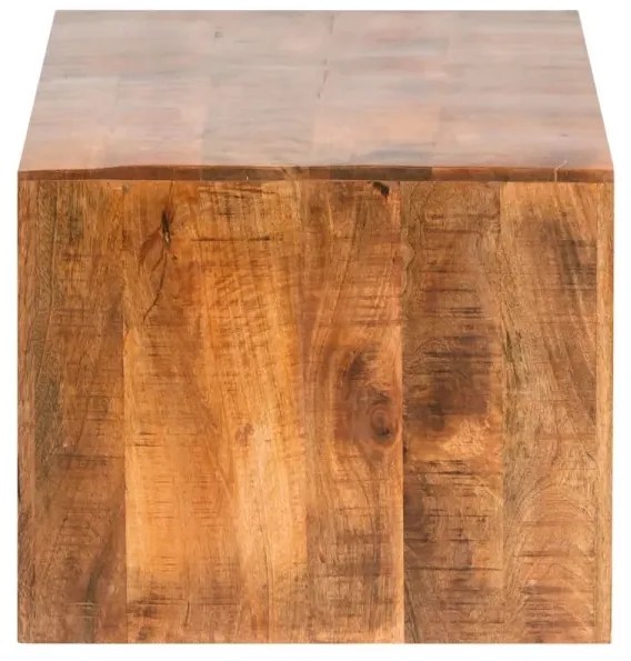 furniture-nabytek.cz - Masivní TV stolek Countryside z mangového dřeva, lakovaný, hnědý – 115×45×55 cm