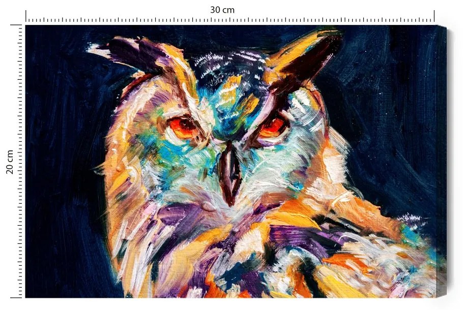 Obraz Sova Jako Malovaná Nedostatek Nedostatek Plátno Canvas 120x80