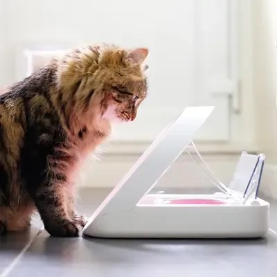SureFeed Automatické krmítko s mikročipem bílá / Krmítko pro kočky / b