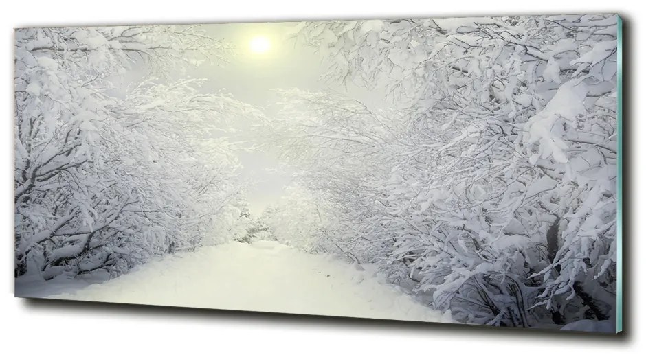 Wallmuralia Foto obraz fotografie na skle Hezký zimní les 125x50 cm
