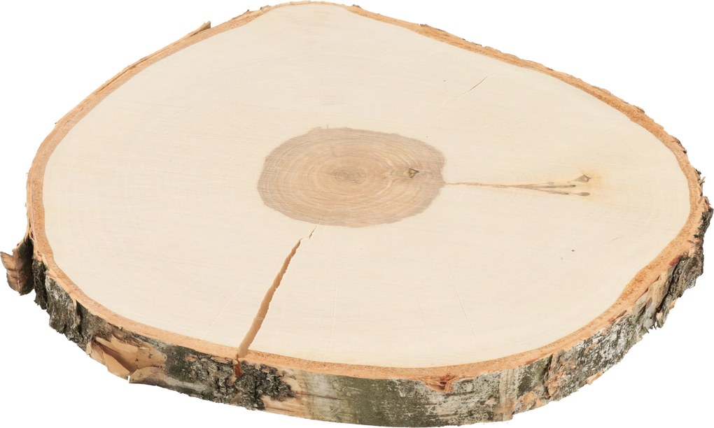 ČistéDřevo Dřevěná podložka z kmene břízy 33-38 cm