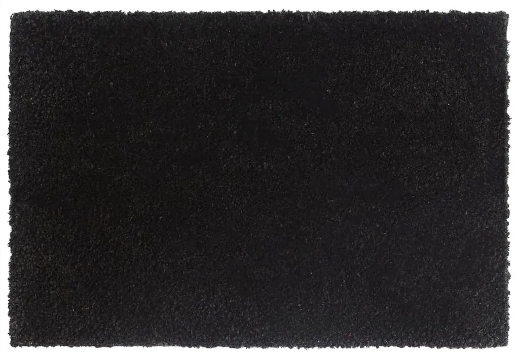 Rohožka před dveře černá 40 x 60 cm kokosové vlákno 155570