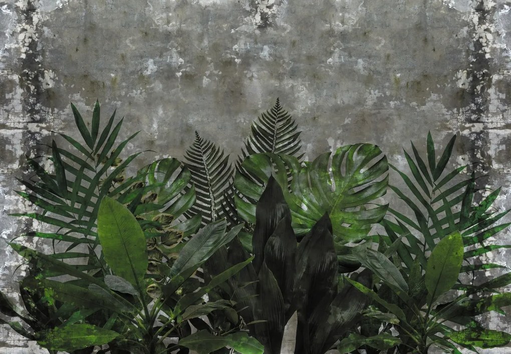 Fototapeta - Betonová zeď s rostlinami (245x170 cm)