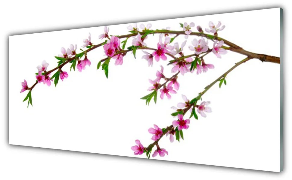akrylový obraz Větev Květ Příroda 125x50 cm
