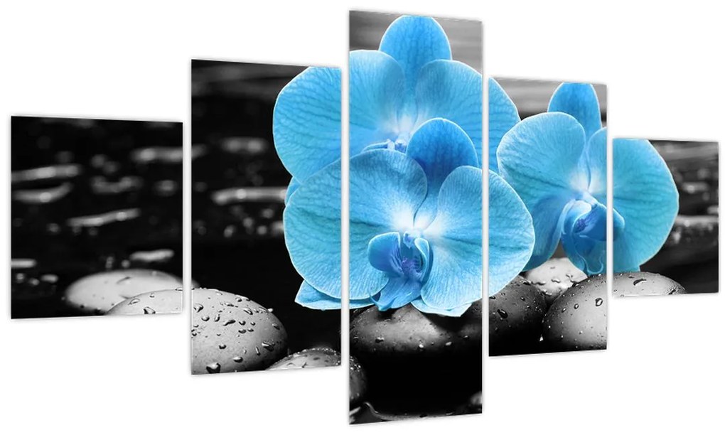 Obraz - Modrá orchidej (125x70 cm)