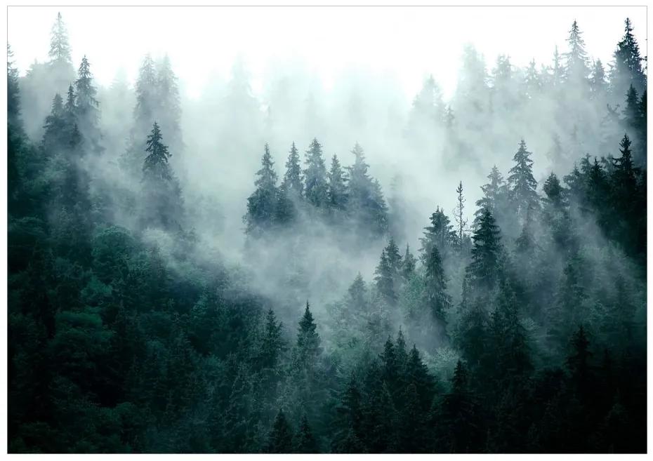 Samolepící fototapeta - Horský les (tmavě zelený) 147x105