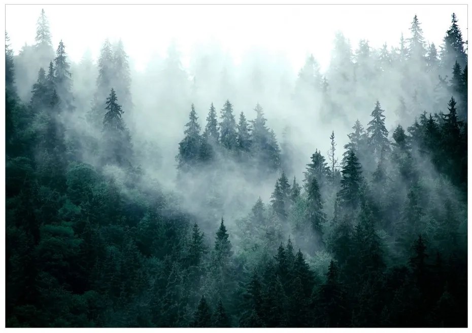 Samolepící fototapeta - Horský les (tmavě zelený) 392x280