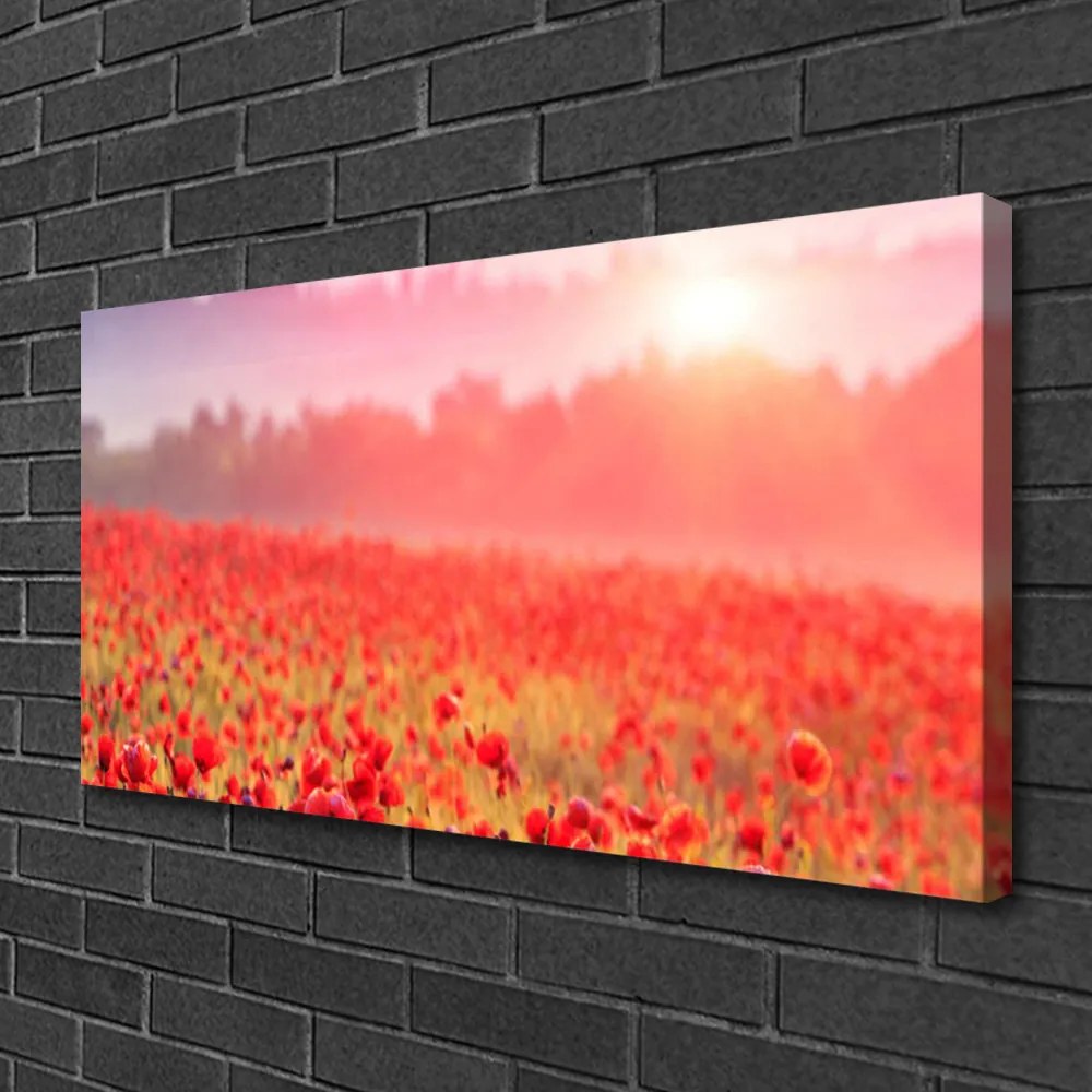 Obraz na plátně Louka Květiny Příroda 125x50 cm