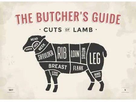 Cedule  The Butchers Guide - Cuts of Lamb