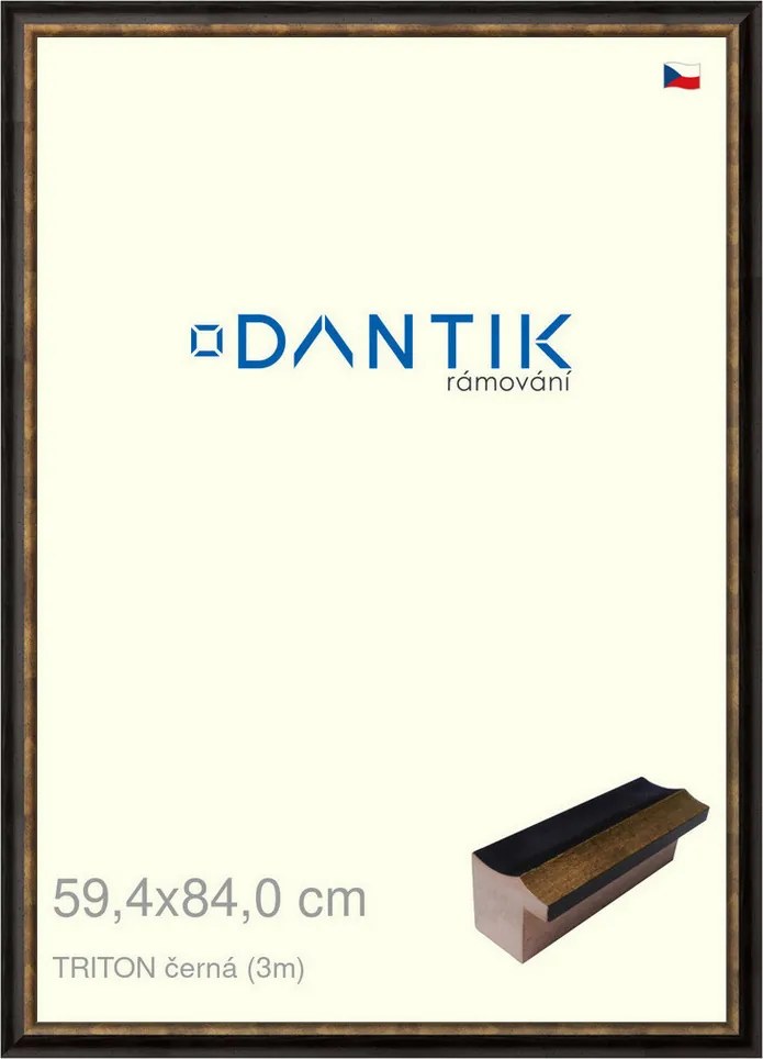 DANTIK rámeček 59,4x84 | TRITON černá (Plexi Čiré)