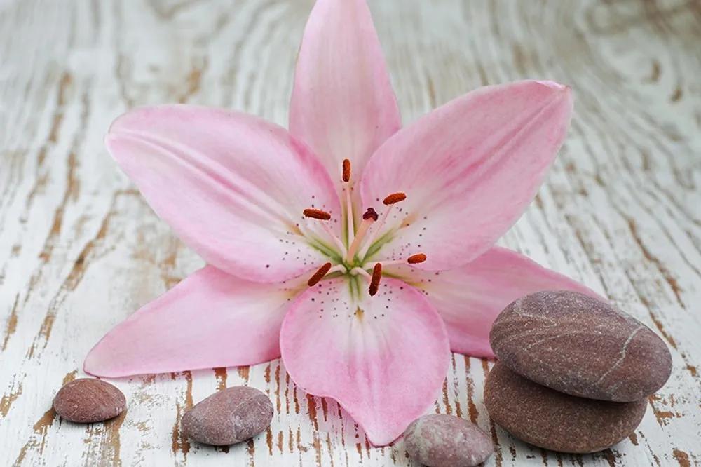 Fototapeta růžová lilie a Zen kameny - 225x150 cm