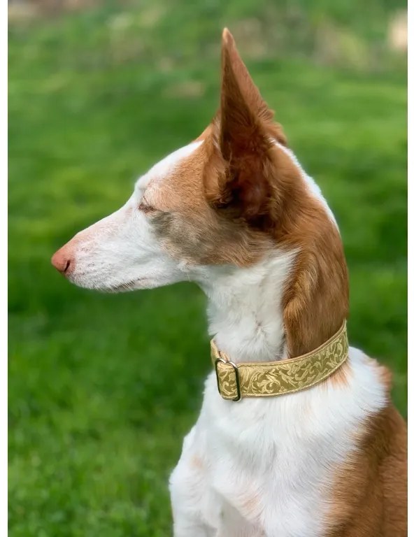 Obojek pro psa Grace Emily Ornament zlatý Provedení: Černá plastová spona, Délka obojku: L - 40 - 56 cm, Šířka obojku: 2,5 cm