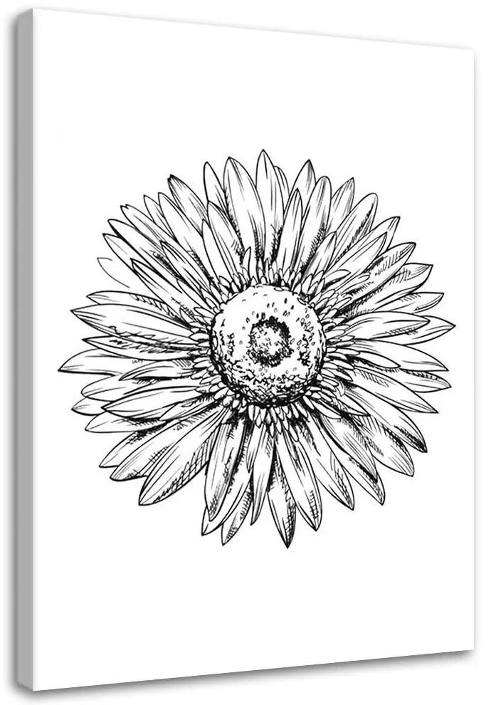 Obraz na plátně Květinová skica černá a bílá - 40x60 cm