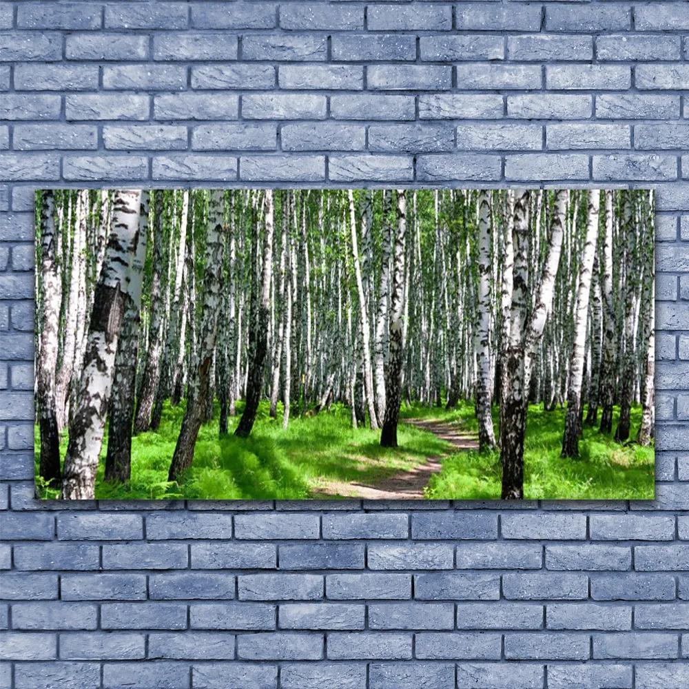 akrylový obraz Stromy Tráva Příroda 120x60 cm
