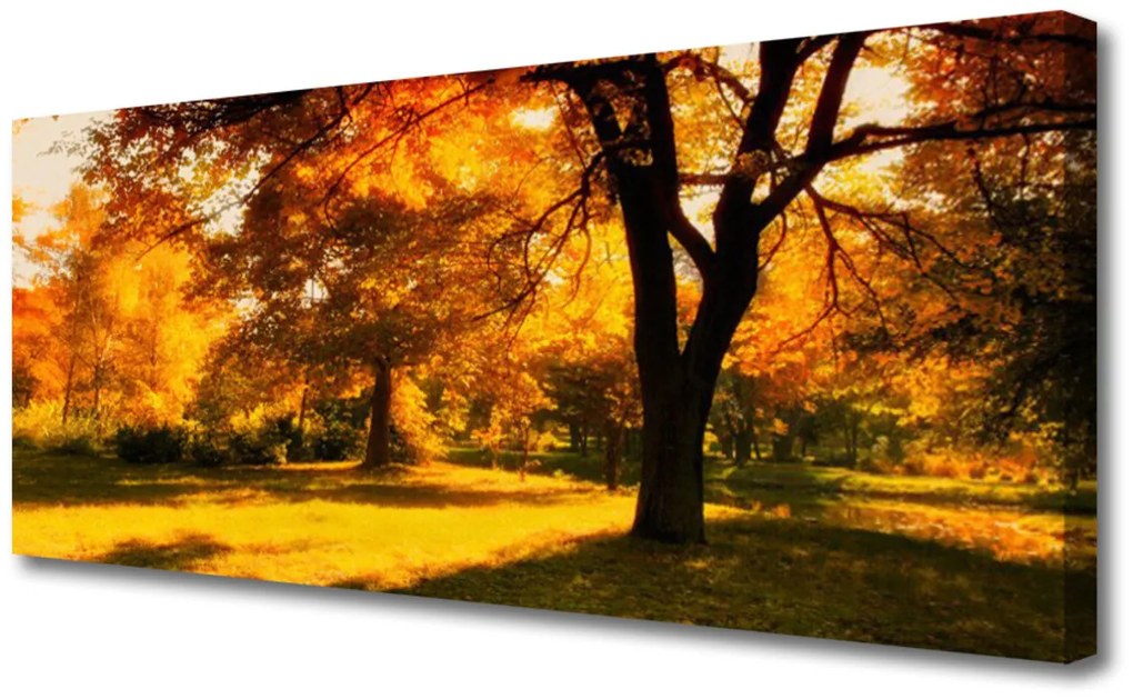 Obraz Canvas Stromy Podzim Příroda