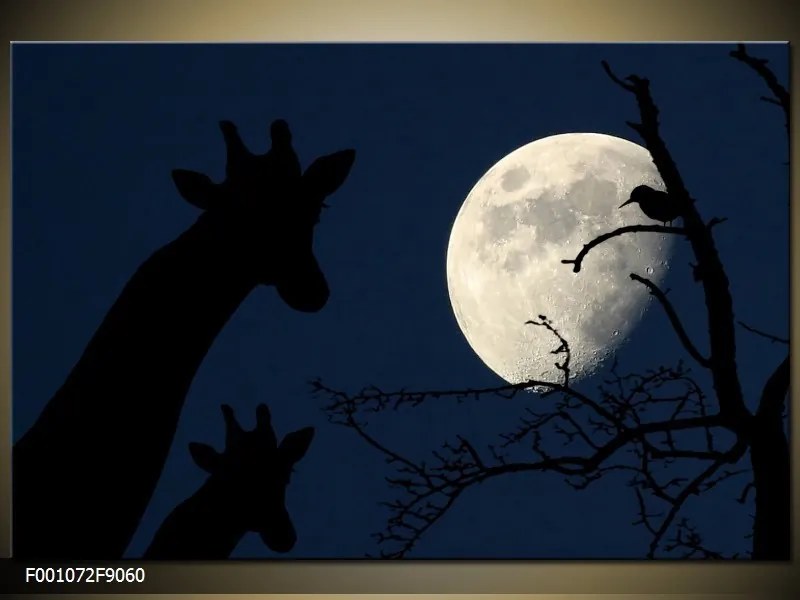 Obraz na plátně Žirafy pod měsícem, Obdélník 90x60cm 1520 Kč