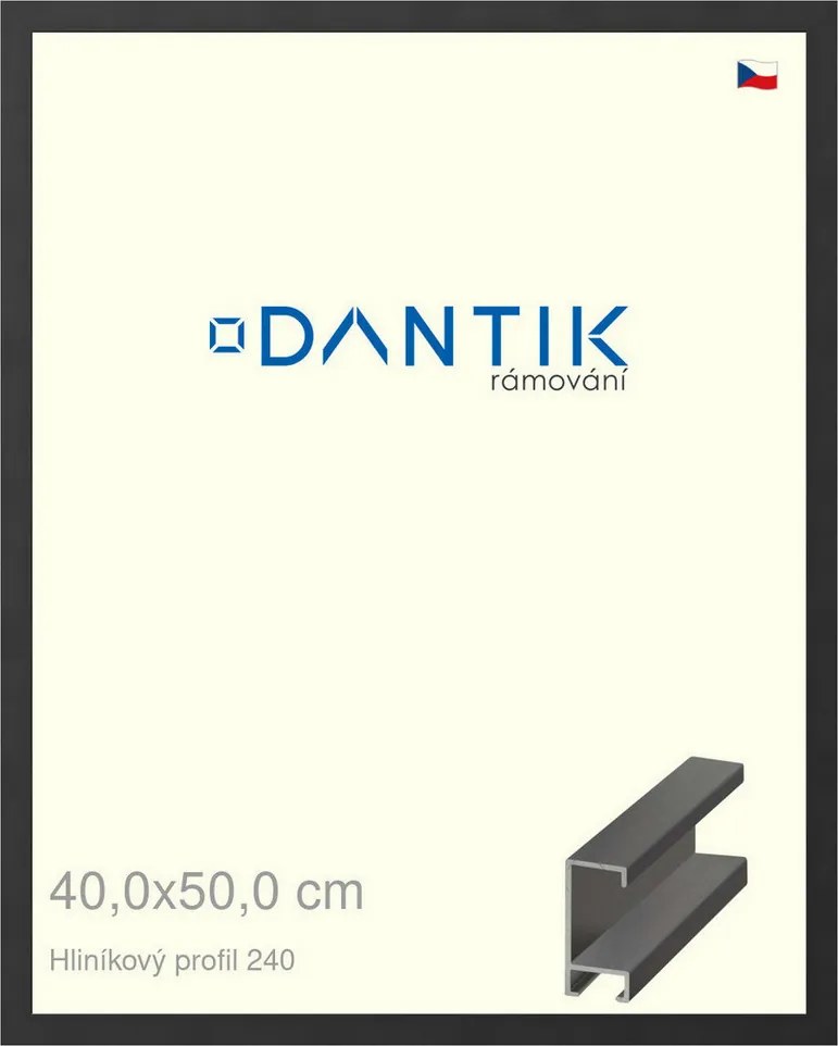 DANTIK rámeček 40x50 | ALU profil 6240 Černá matná (Sklo Čiré)