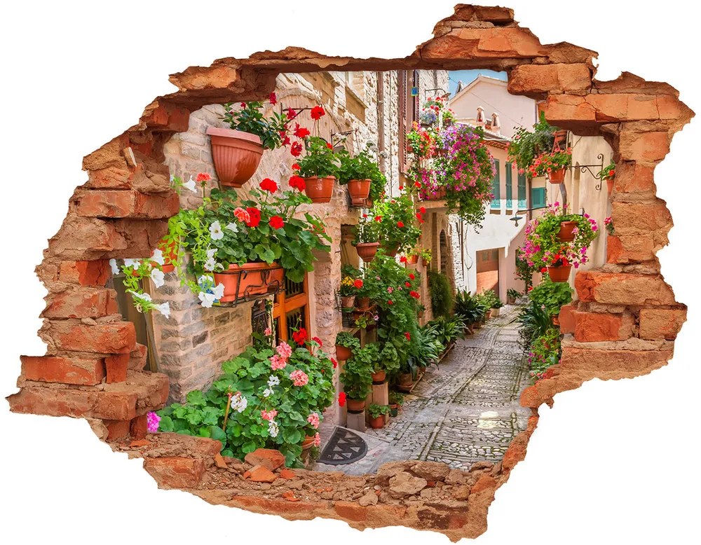 Wallmuralia Fototapeta díra na zeď Italské uličky 90x70 cm