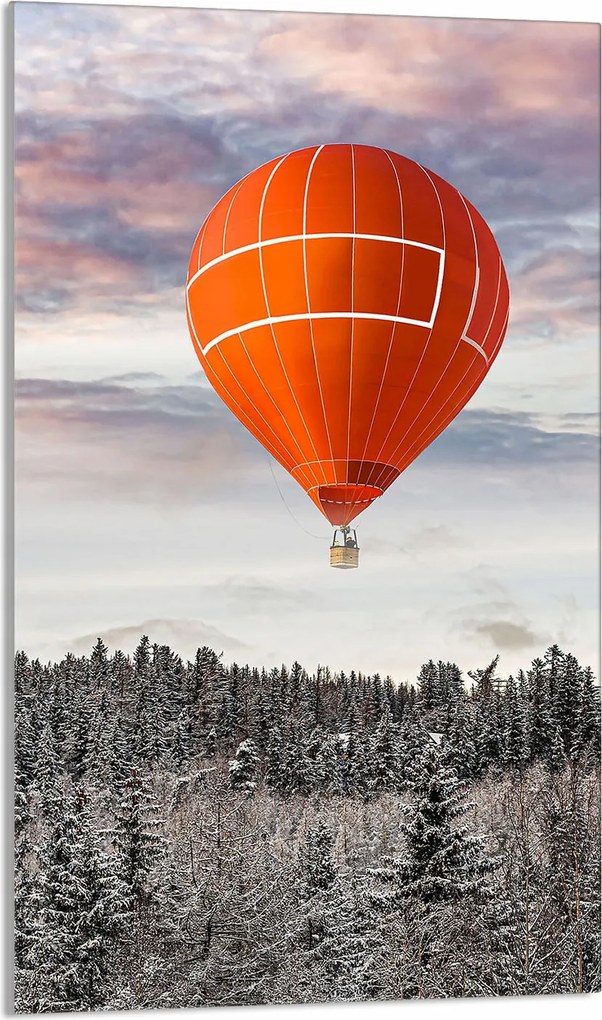 Skleněná Deska Na Krájení 30x52 Balón do kuchyně