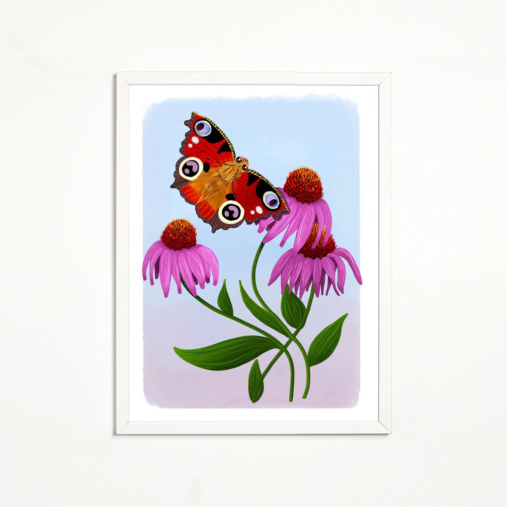 Kristýna Pýchová | Motýlek Rám: Bílý, Velikost: 70 x 50 cm