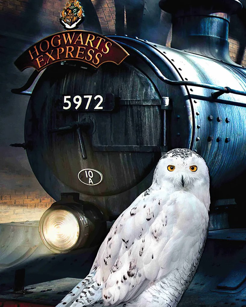 Jerry Fabrics Dětská plážová osuška HARRY POTTER NIKOMU HEDWIG, sova s vlakem tmavě modrá, froté, 70x140cm