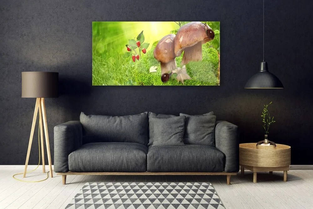 akrylový obraz Houby Divoké Jahody 120x60 cm