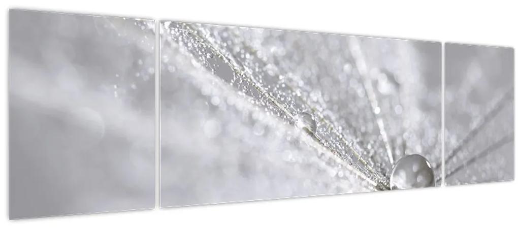 Obraz - Kapka vody (170x50 cm)