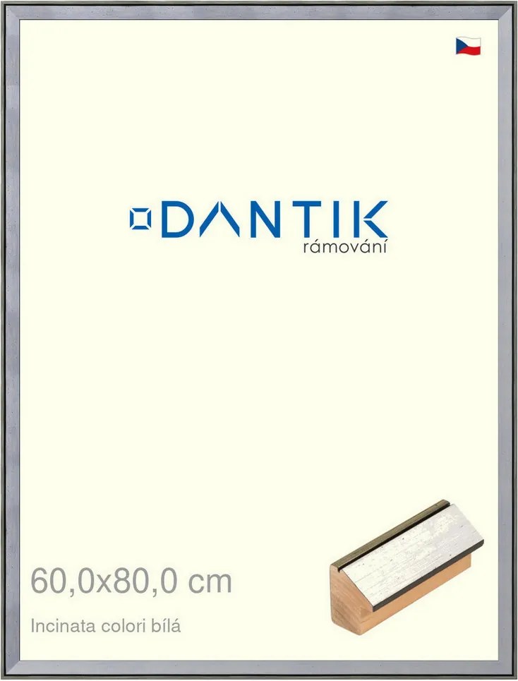 DANTIK rámeček 60x80 | INCLINATA colori Bílá (Plexi Čiré)